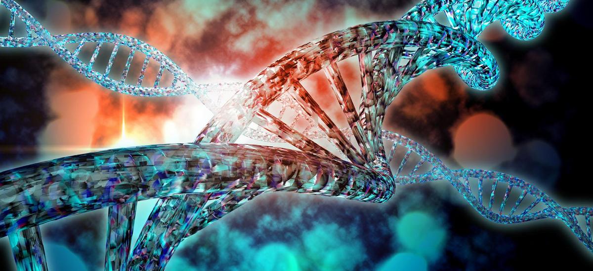 Polynucleotides in aesthetic medicine - modern skin stimulation • OT.CO ...